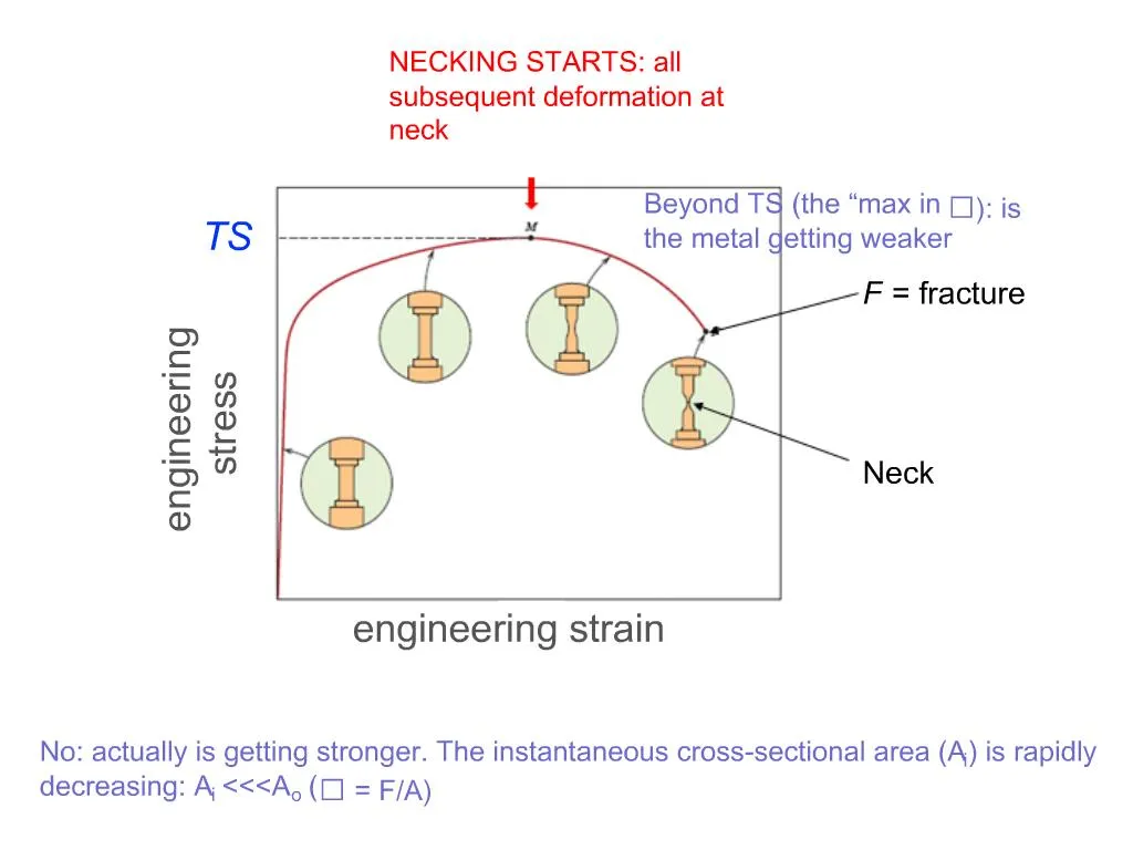 PPT - NECKING STARTS: all subsequent deformation at neck PowerPoint ...