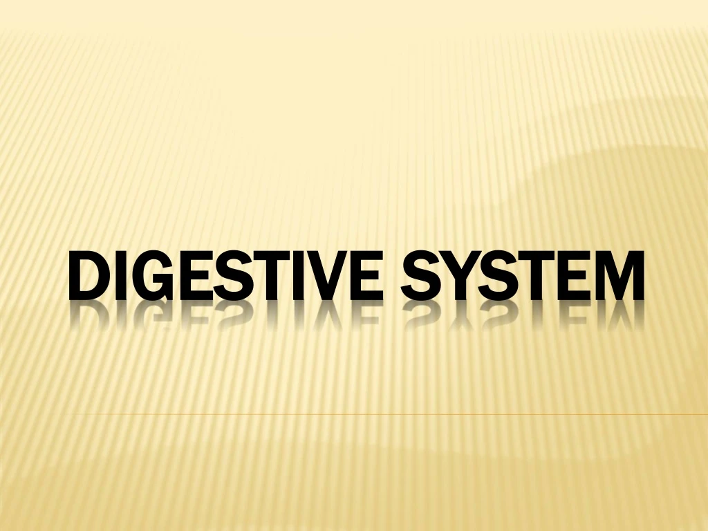 PPT - DIGESTIVE SYSTEM PowerPoint Presentation, free download - ID:8995966