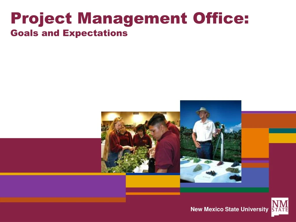PPT - Project Management Office: Goals and Expectations PowerPoint ...