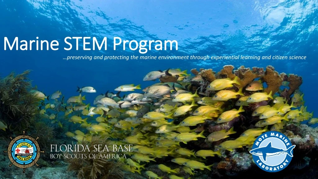 PPT - Marine STEM Program PowerPoint Presentation, free download - ID ...