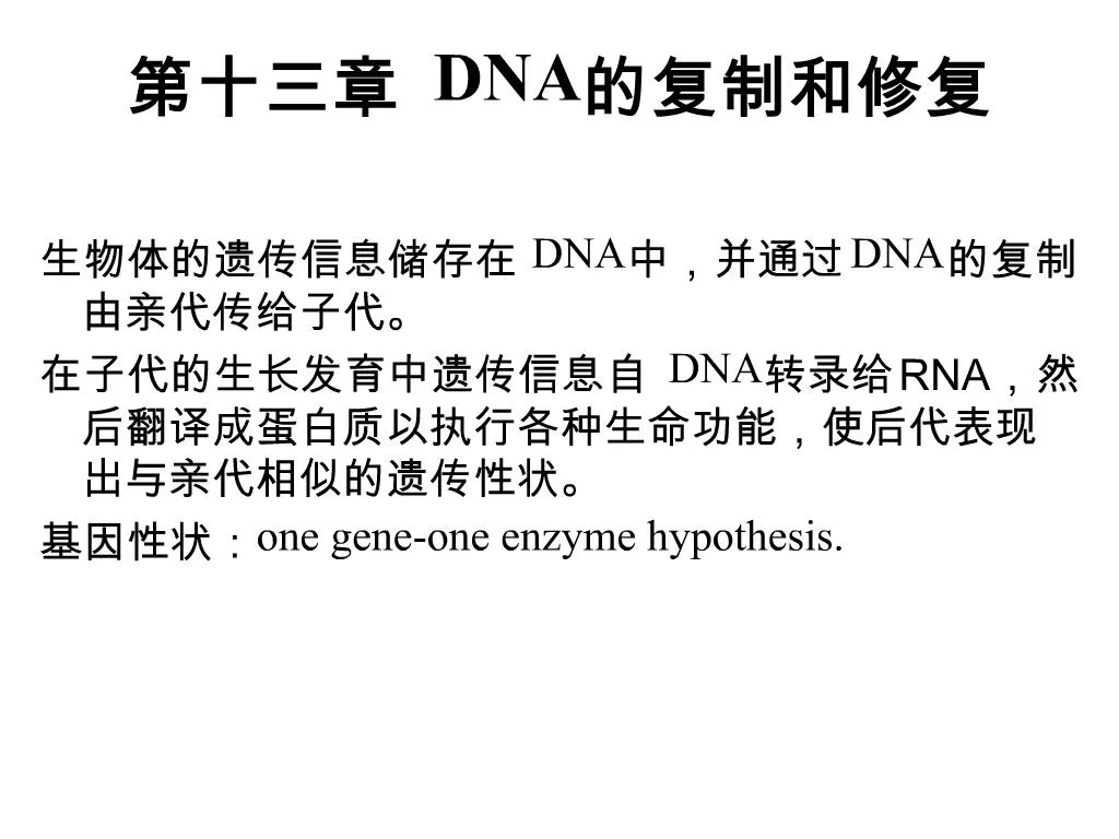 PPT - DNA DNA,DNA DNARNA,, :one gene-one enzyme hypothesis. PowerPoint ...