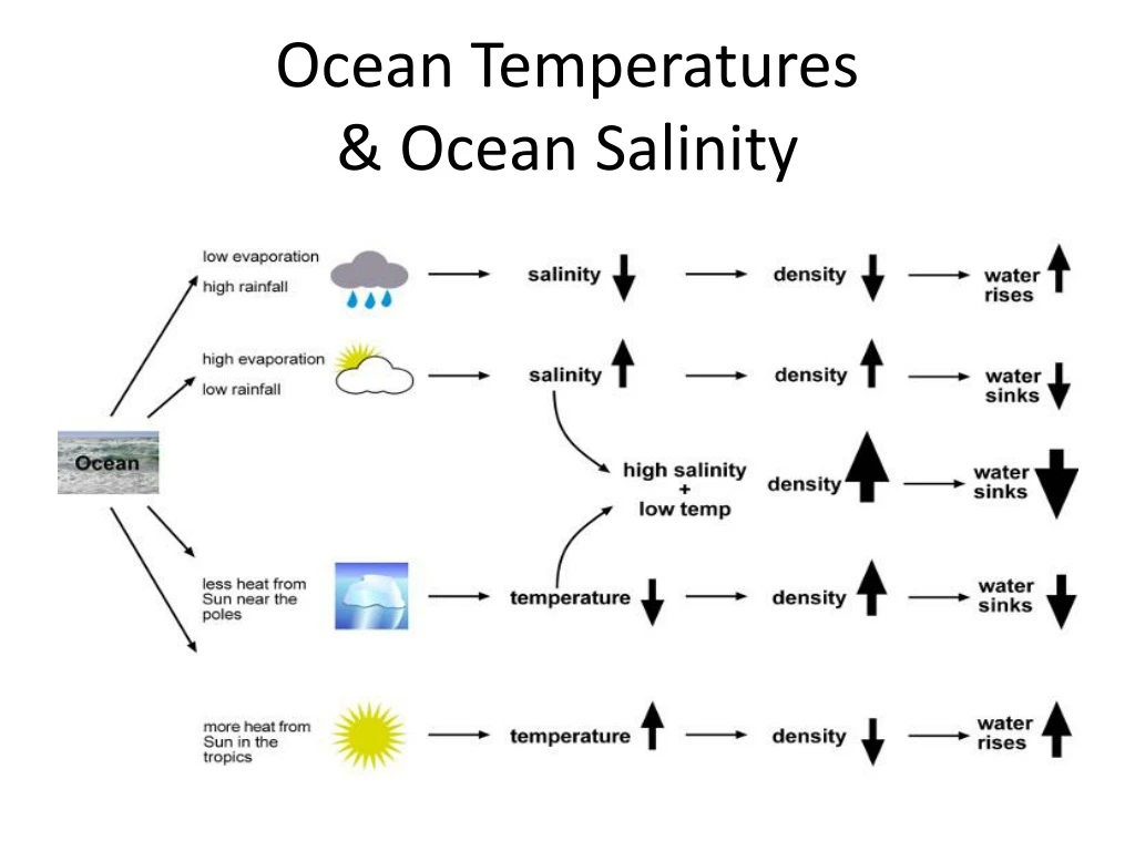 PPT - Ocean Temperatures & Ocean Salinity PowerPoint Presentation, free ...