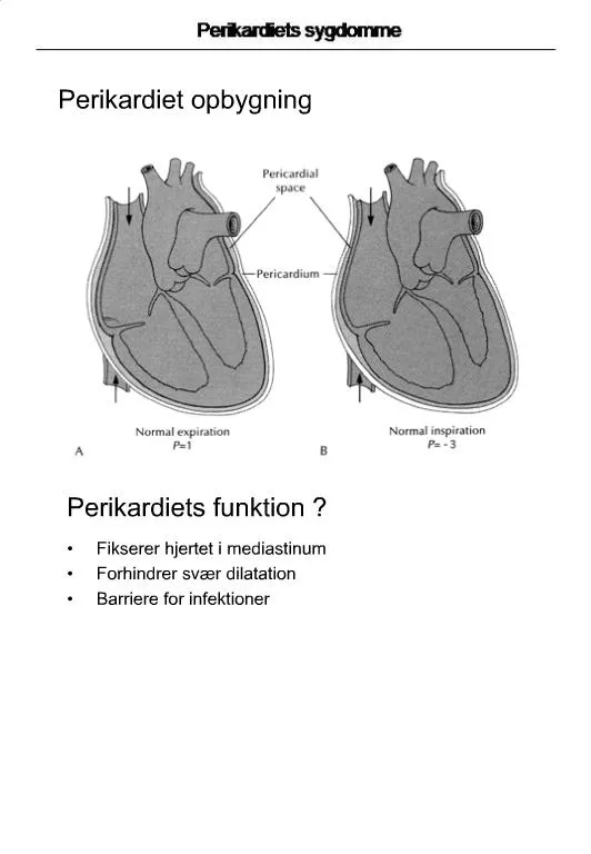 PPT - Perikardiet opbygning PowerPoint Presentation, free download - ID ...