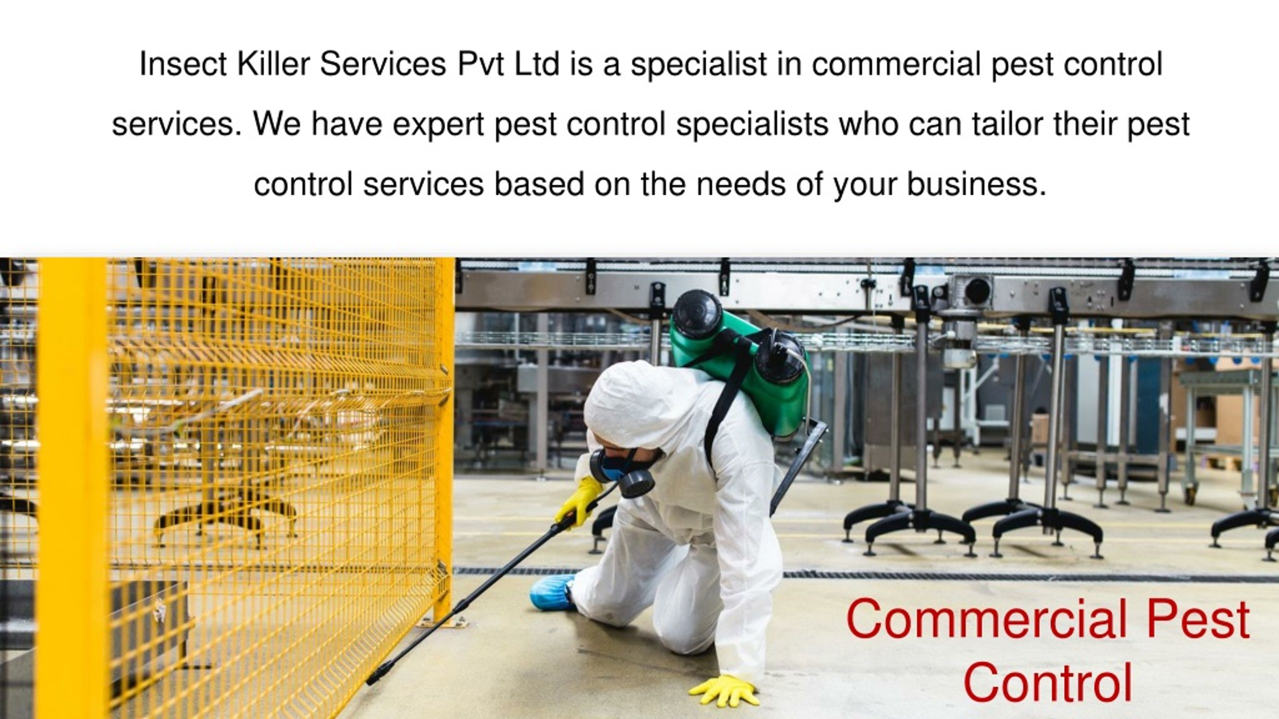 PPT - Get Rid Of All Kinds Of Pest - Insect Killer Services Pvt Ltd ...