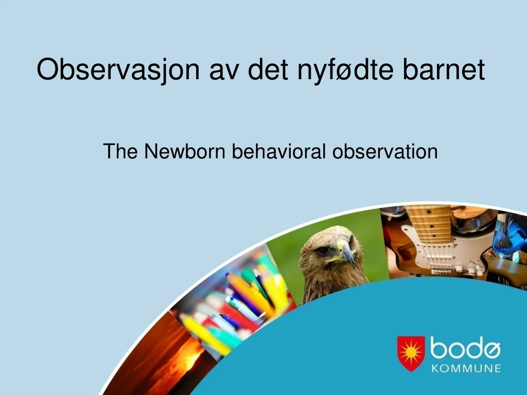 PPT - Observasjon av det nyfødte barnet PowerPoint Presentation, free ...
