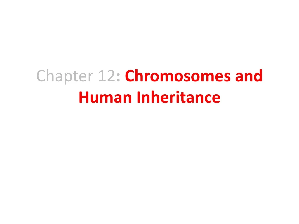 PPT - Chapter 12 : Chromosomes and Human Inheritance PowerPoint ...