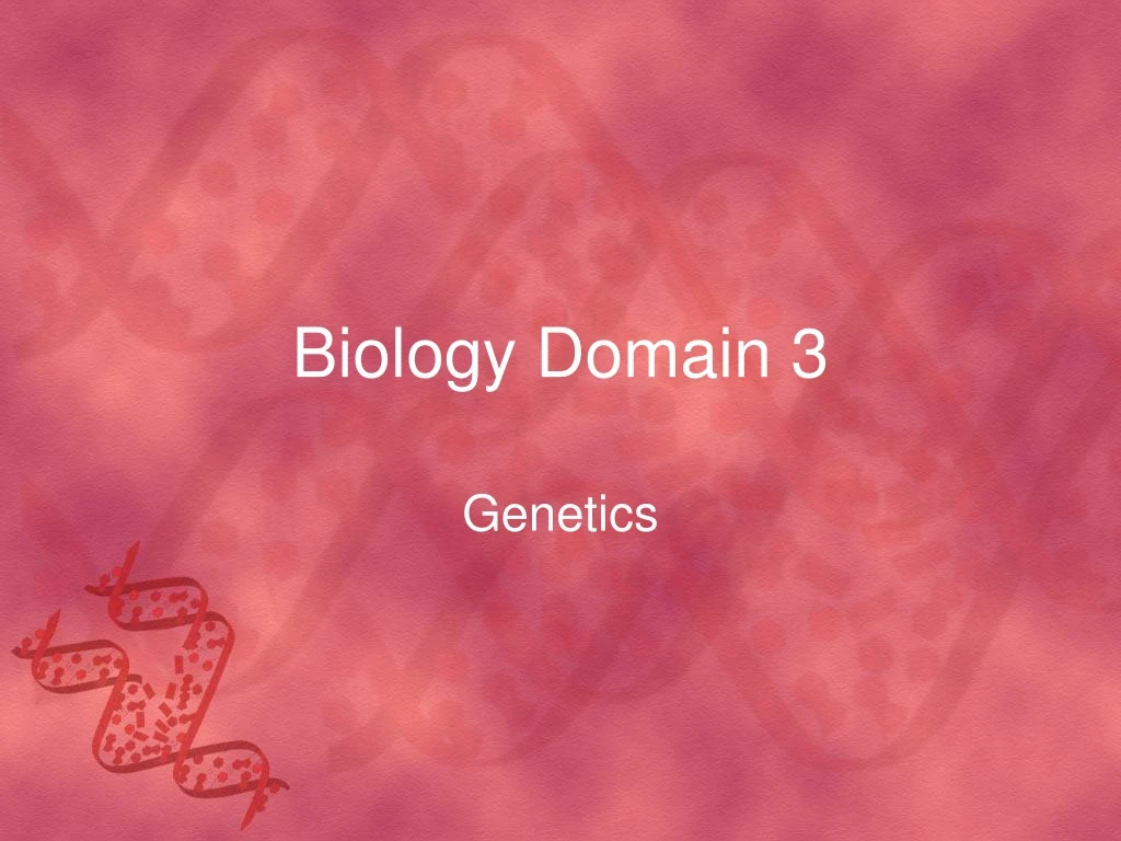 PPT - Biology Domain 3 PowerPoint Presentation, free download - ID:9074196