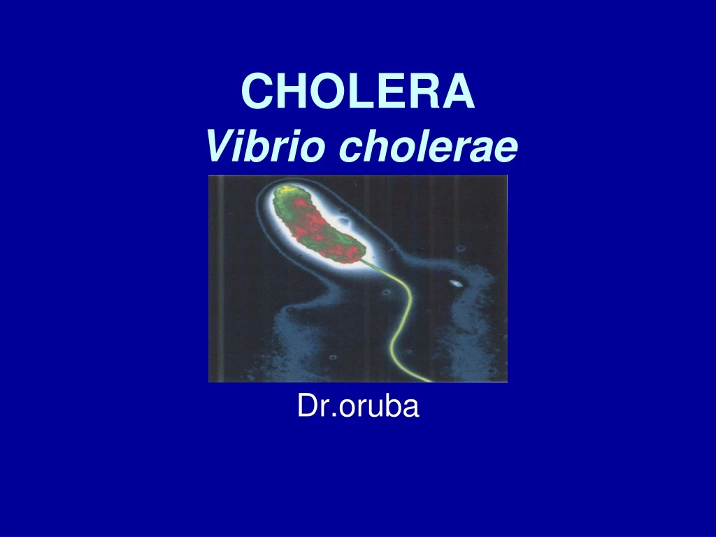 PPT - CHOLERA Vibrio cholerae PowerPoint Presentation, free download ...