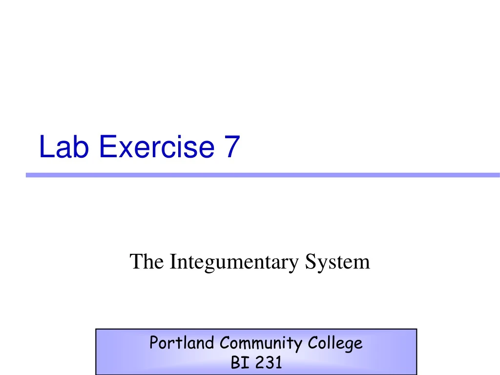 PPT - Lab Exercise 7 PowerPoint Presentation, free download - ID:9081079