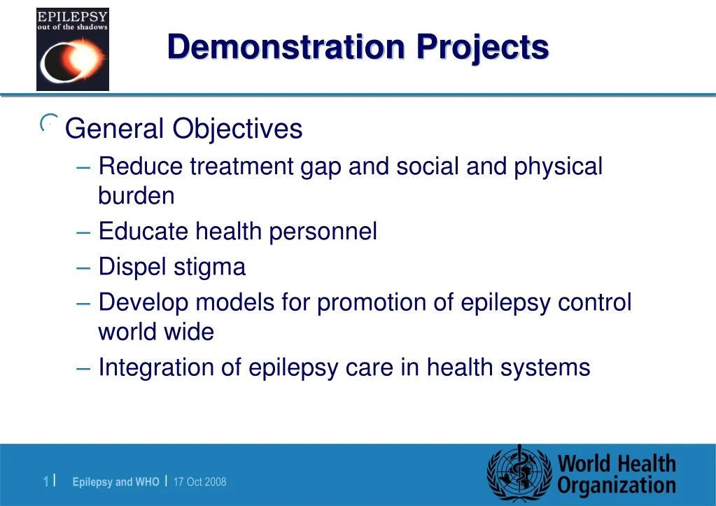 PPT - Demonstration Projects PowerPoint Presentation, free download ...