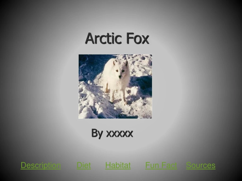 PPT - Arctic Fox PowerPoint Presentation, free download - ID:9085485