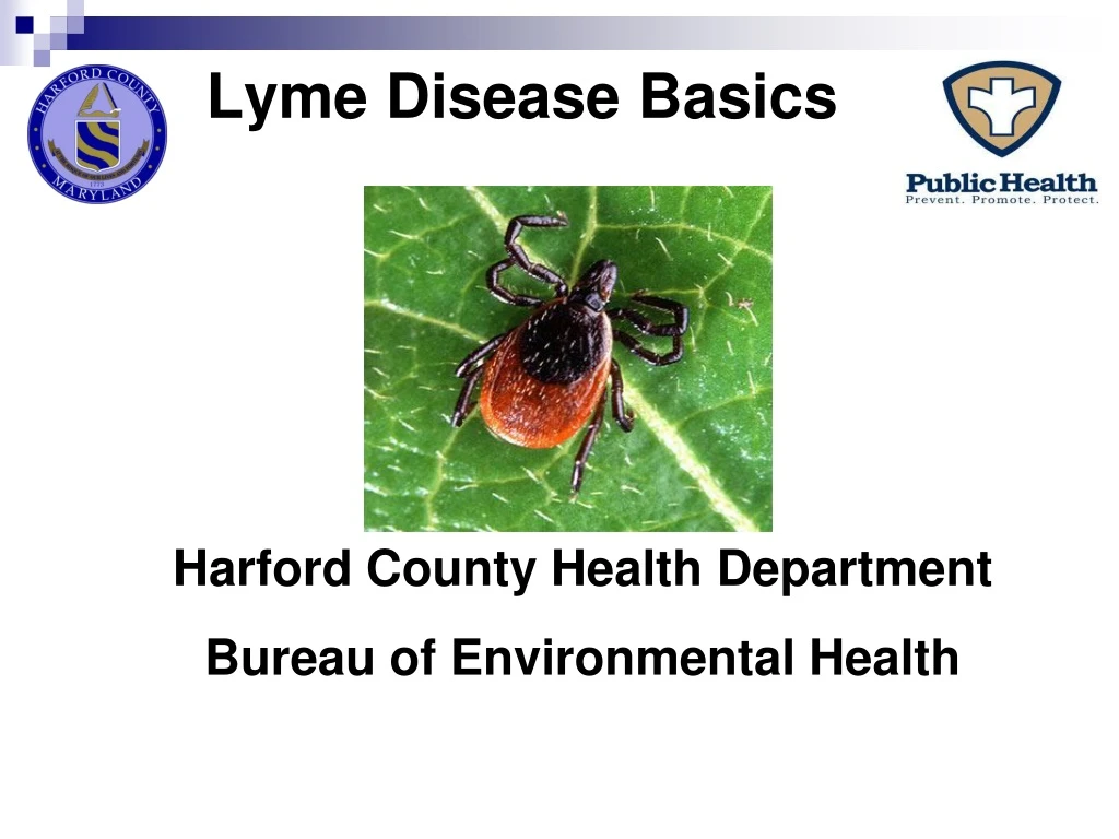 PPT - Lyme Disease Basics PowerPoint Presentation, free download - ID ...