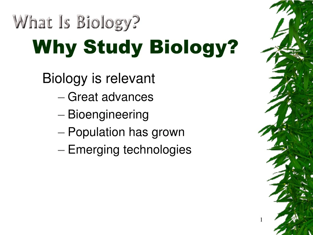 PPT - Why Study Biology? PowerPoint Presentation, free download - ID ...