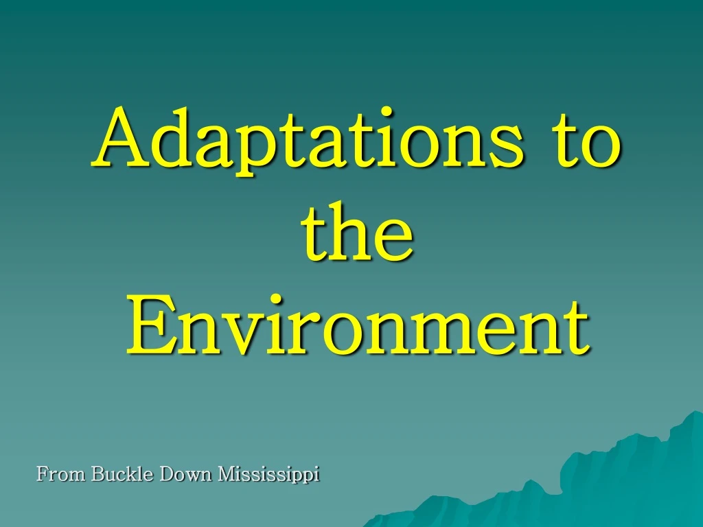 PPT - Adaptations to the Environment PowerPoint Presentation, free ...