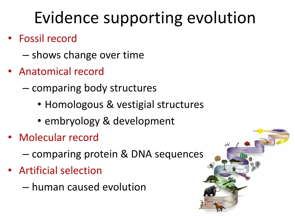 PPT - Evidence supporting evolution PowerPoint Presentation, free ...