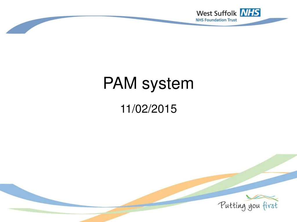 PPT - PAM system 11/02/2015 PowerPoint Presentation, free download - ID ...