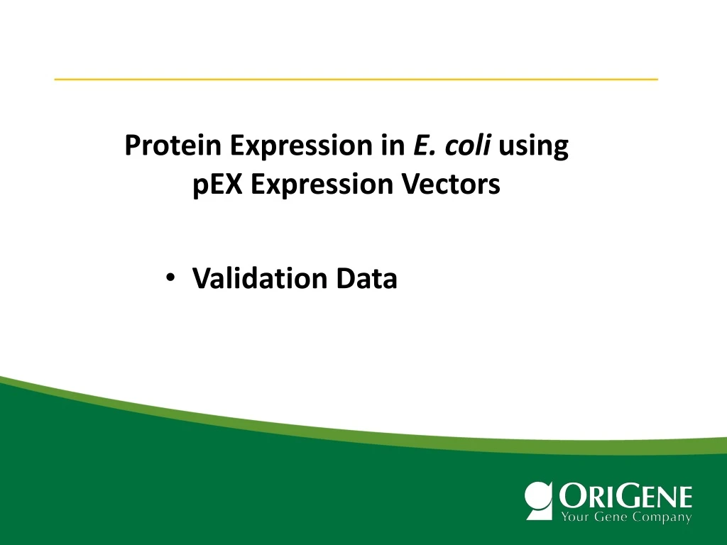 PPT - Protein Expression in E. coli using pEX Expression Vectors PowerPoint Presentation - ID ...