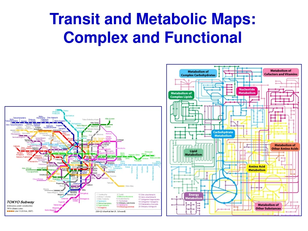 PPT - Transit and Metabolic Maps: Complex and Functional PowerPoint ...