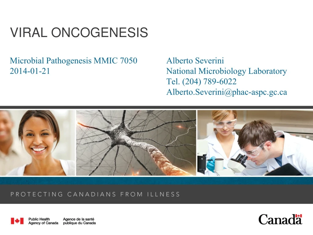 PPT - VIRAL ONCOGENESIS PowerPoint Presentation, free download - ID:9106335