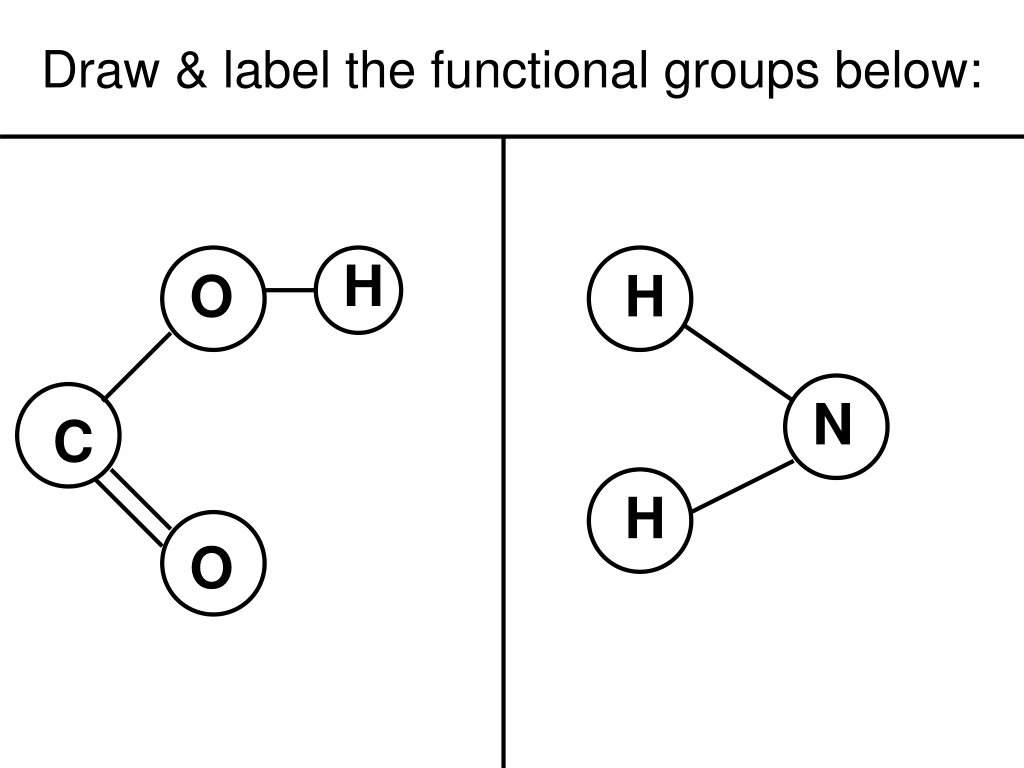 PPT - Draw & label the functional groups below: PowerPoint Presentation ...