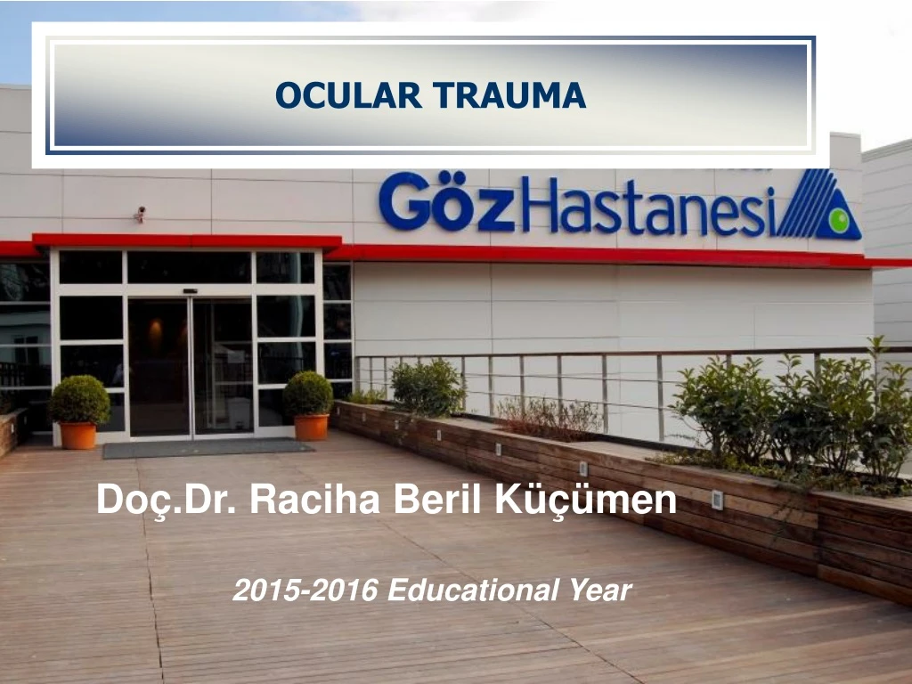 PPT - OCULAR TRAUMA PowerPoint Presentation, free download - ID:9109061