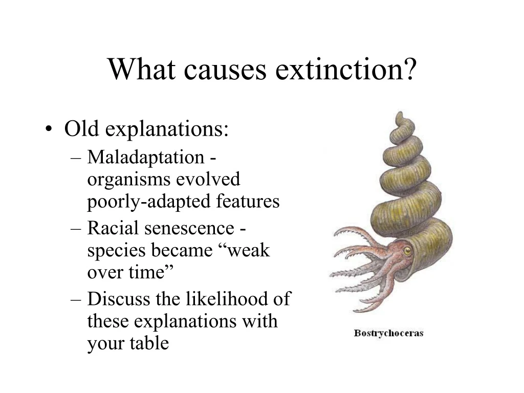 PPT - What causes extinction? PowerPoint Presentation, free download ...