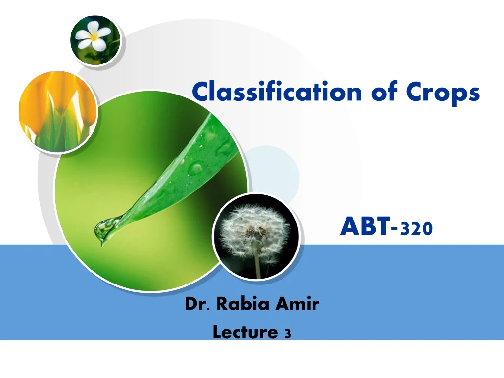 PPT - Classification of Crops ABT-320 PowerPoint Presentation - ID:9112600