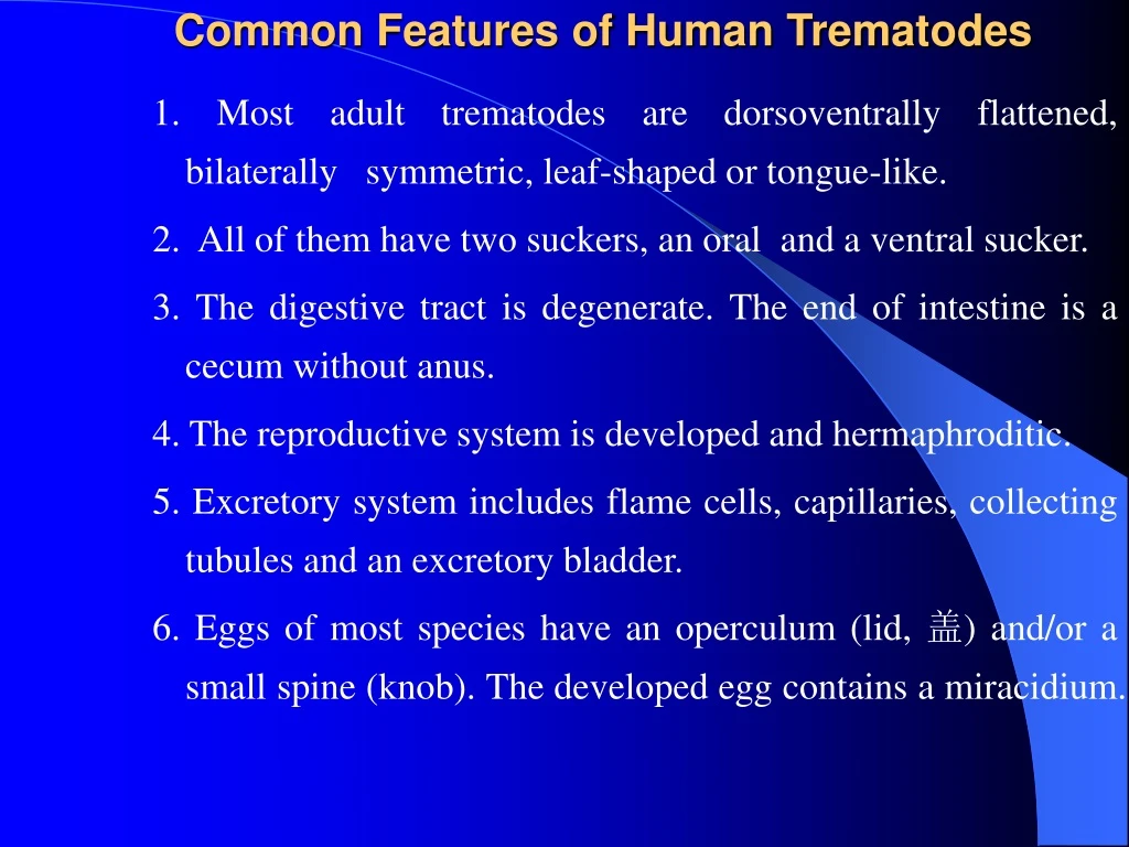PPT - Common Features of Human Trematodes PowerPoint Presentation, free ...
