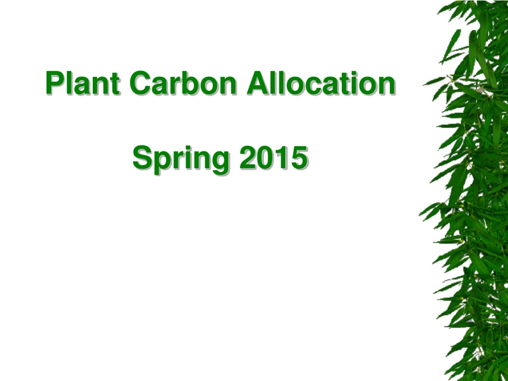 PPT - Plant Carbon Allocation Spring 2015 PowerPoint Presentation, free ...