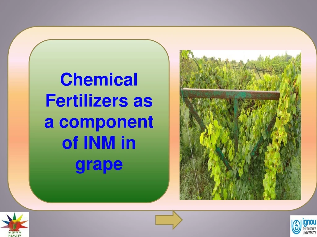 PPT - Chemical Fertilizers as a component of INM in grape PowerPoint ...