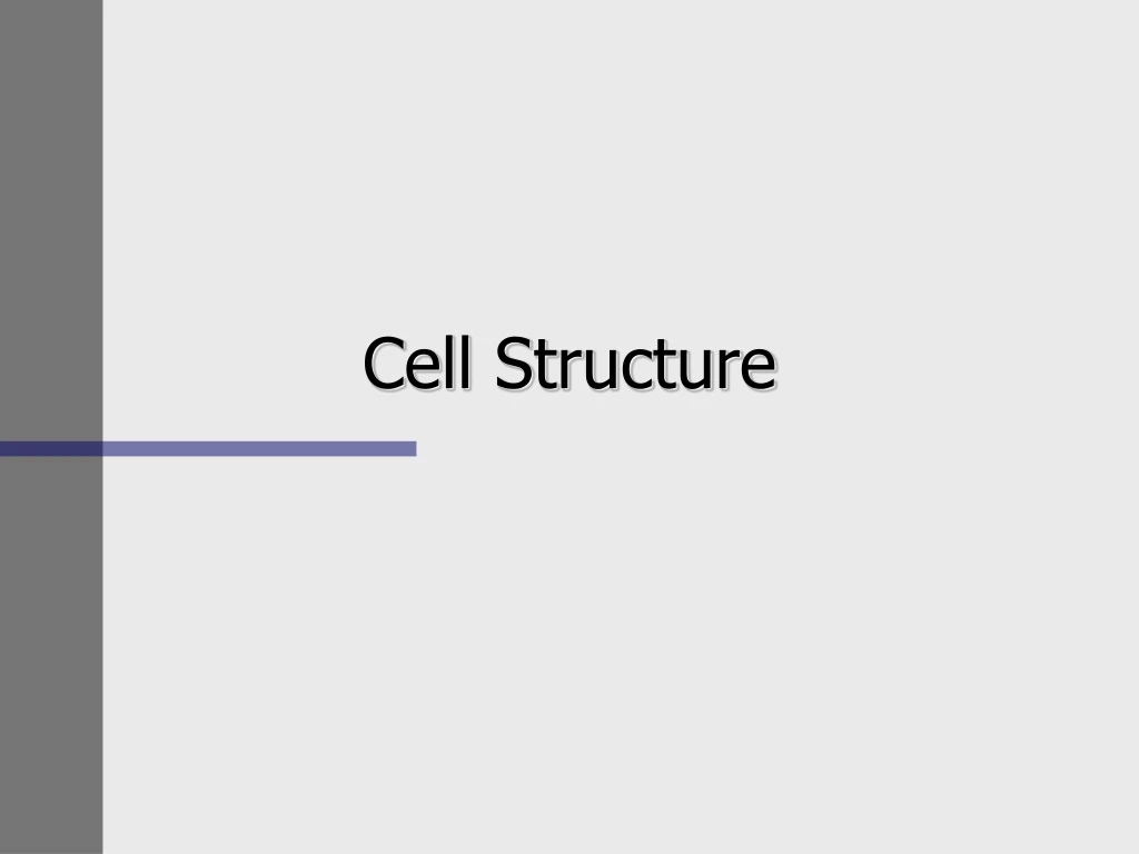 PPT - Cell Structure PowerPoint Presentation, free download - ID:9119736