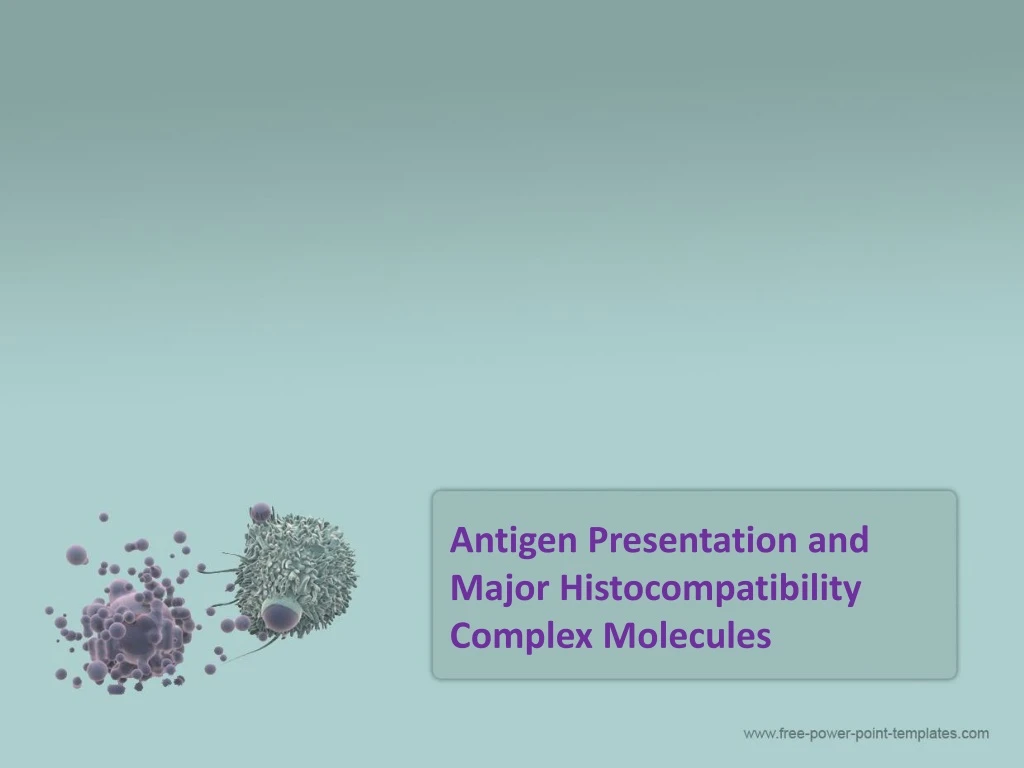 PPT - Antigen Presentation and Major Histocompatibility Complex ...