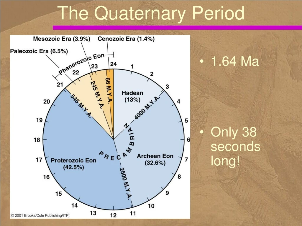 PPT - The Quaternary Period PowerPoint Presentation, free download - ID ...