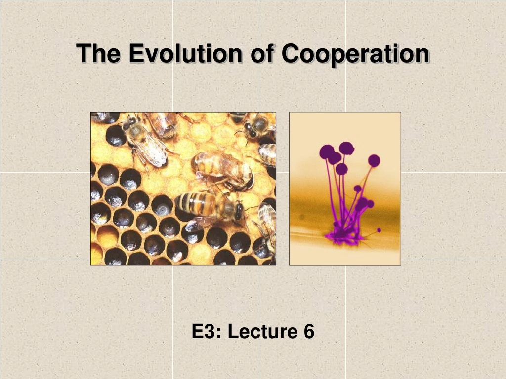 PPT - The Evolution of Cooperation PowerPoint Presentation, free ...