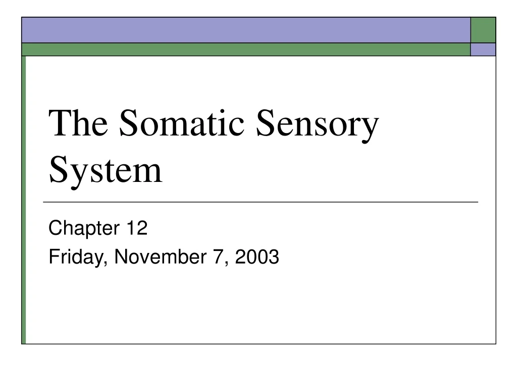 PPT - The Somatic Sensory System PowerPoint Presentation, free download ...