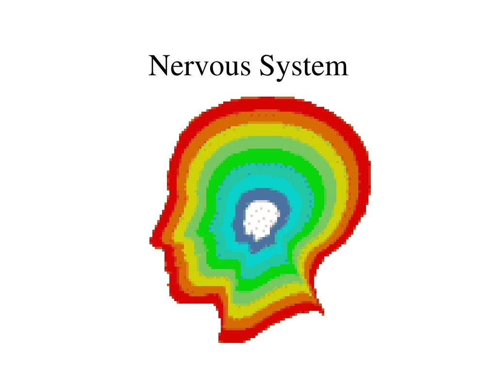 Ppt Nervous System Powerpoint Presentation Free Download Id 9128023