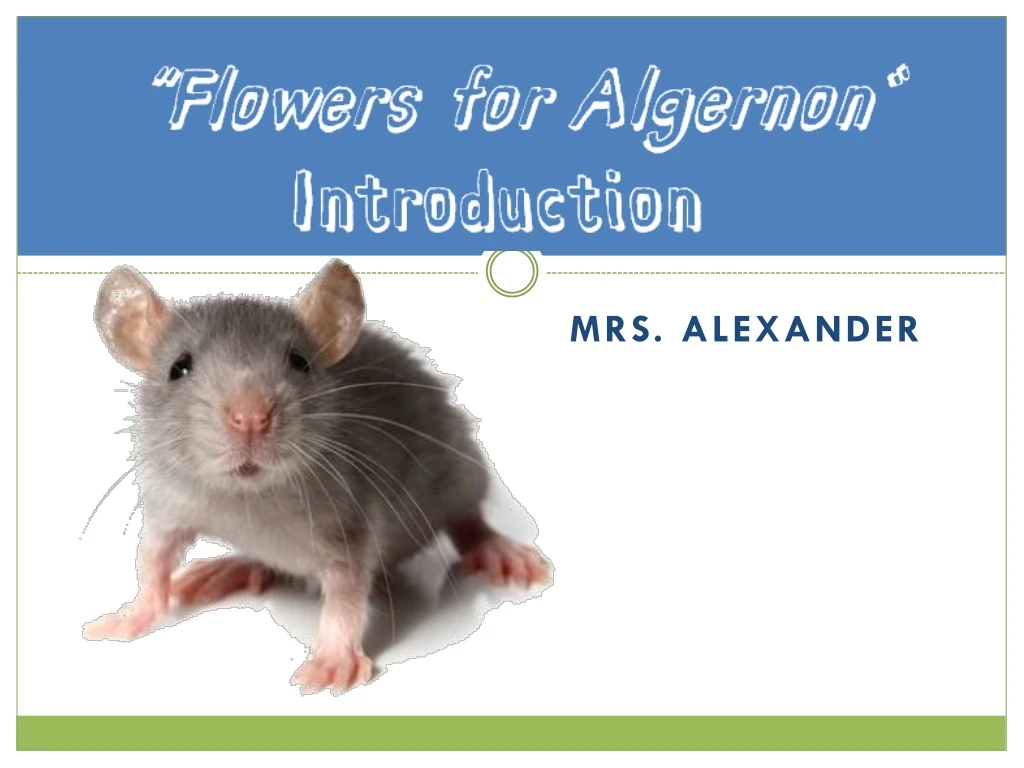 PPT - Mrs. Alexander PowerPoint Presentation, free download - ID:9128272