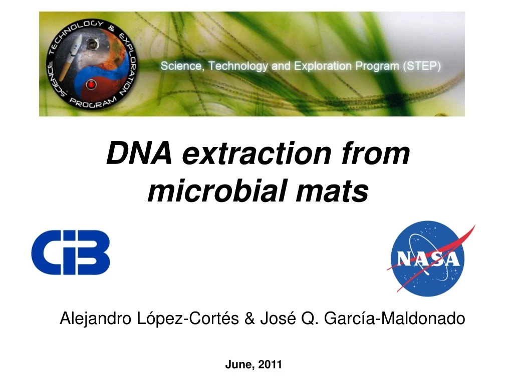 PPT - DNA extraction from microbial mats PowerPoint Presentation, free ...