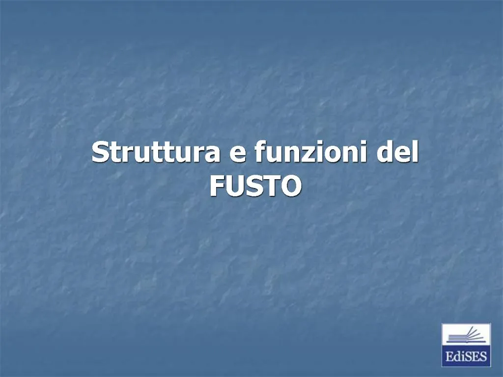 PPT - Struttura e funzioni del FUSTO PowerPoint Presentation, free ...