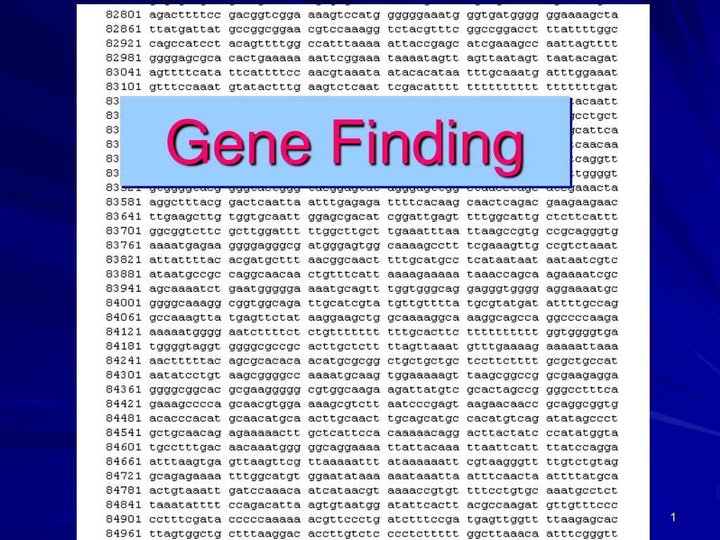 PPT - Gene Finding PowerPoint Presentation, free download - ID:9133053