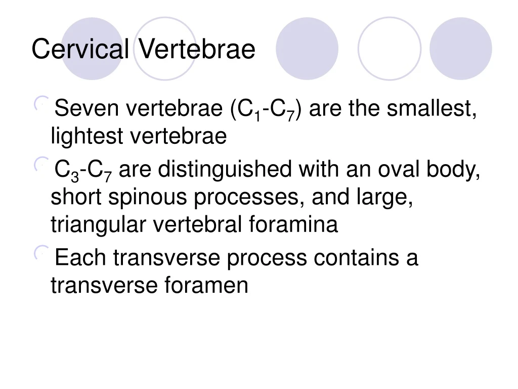 PPT - Cervical Vertebrae PowerPoint Presentation, free download - ID ...