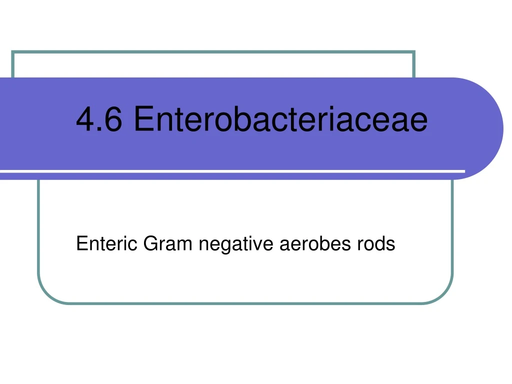 PPT - 4.6 Enterobacteriaceae PowerPoint Presentation, free download ...
