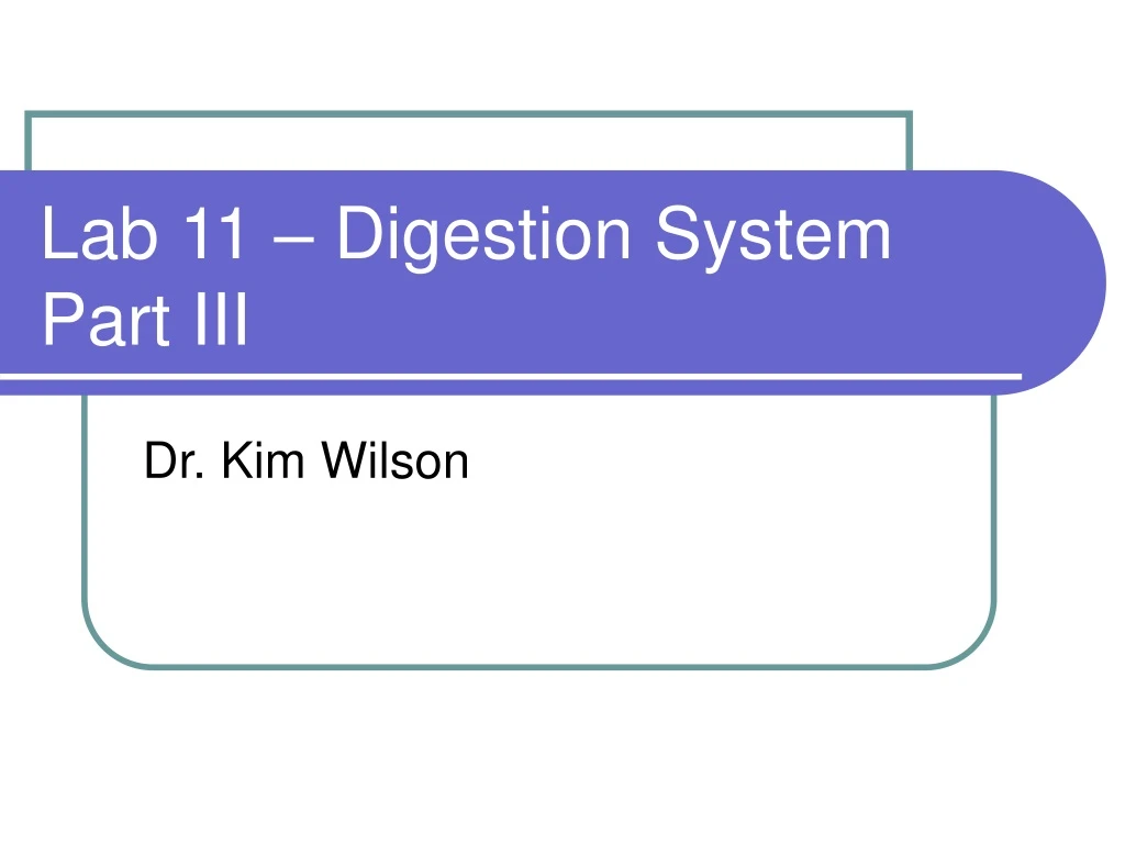 PPT - Lab 11 – Digestion System Part III PowerPoint Presentation, free ...