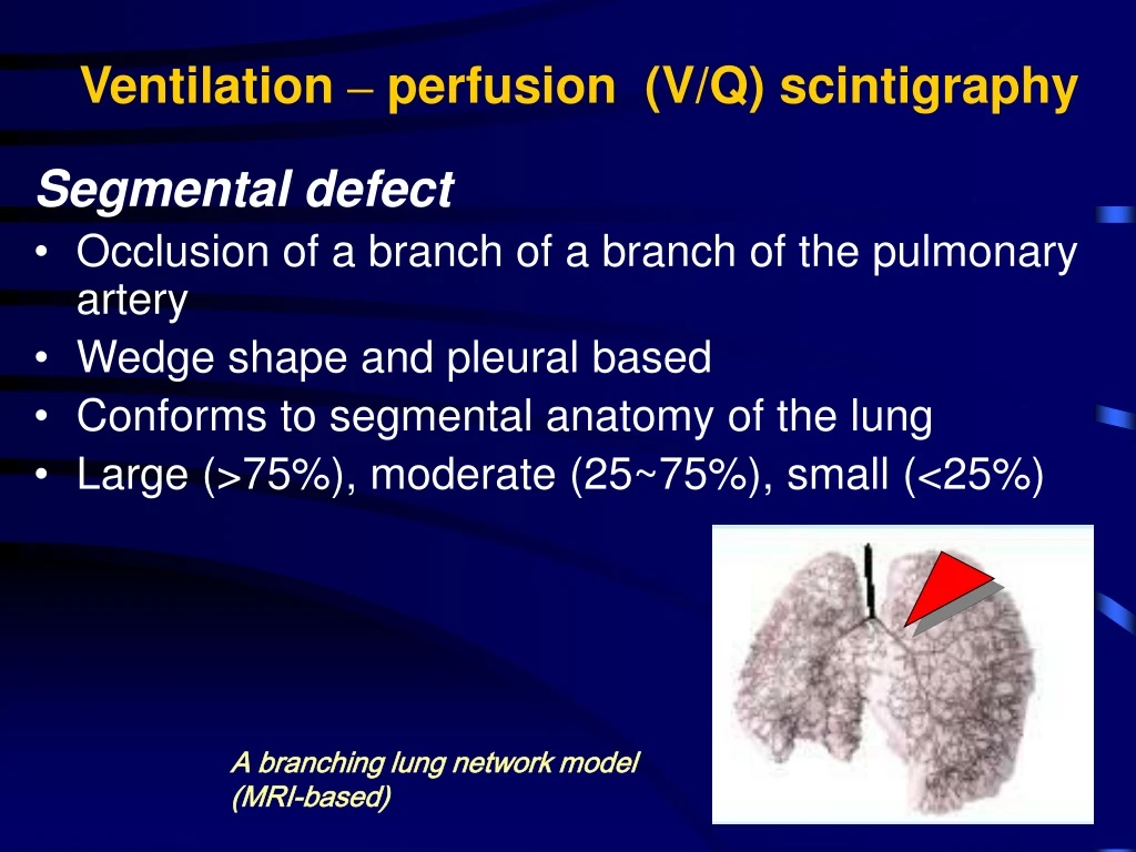PPT - Ventilation – perfusion (V/Q) scintigraphy PowerPoint ...