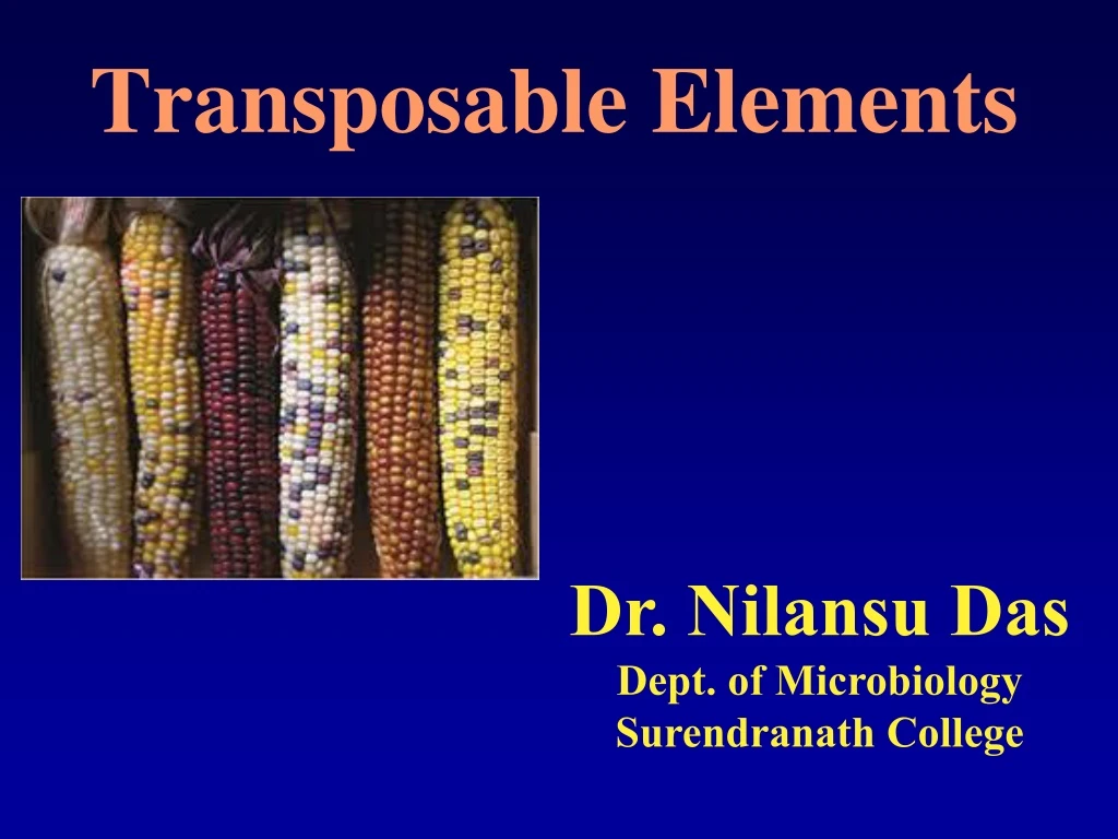 PPT - Transposable Elements PowerPoint Presentation, free download - ID ...