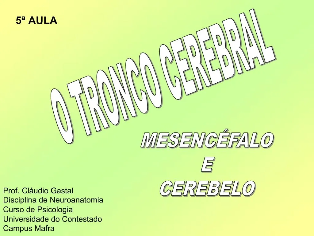 Ppt O Tronco Cerebral Powerpoint Presentation Free Download Id 913962