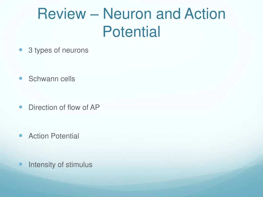 PPT - Review – Neuron and Action Potential PowerPoint Presentation ...