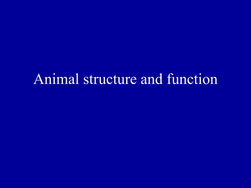 PPT - Animal structure and function PowerPoint Presentation, free ...