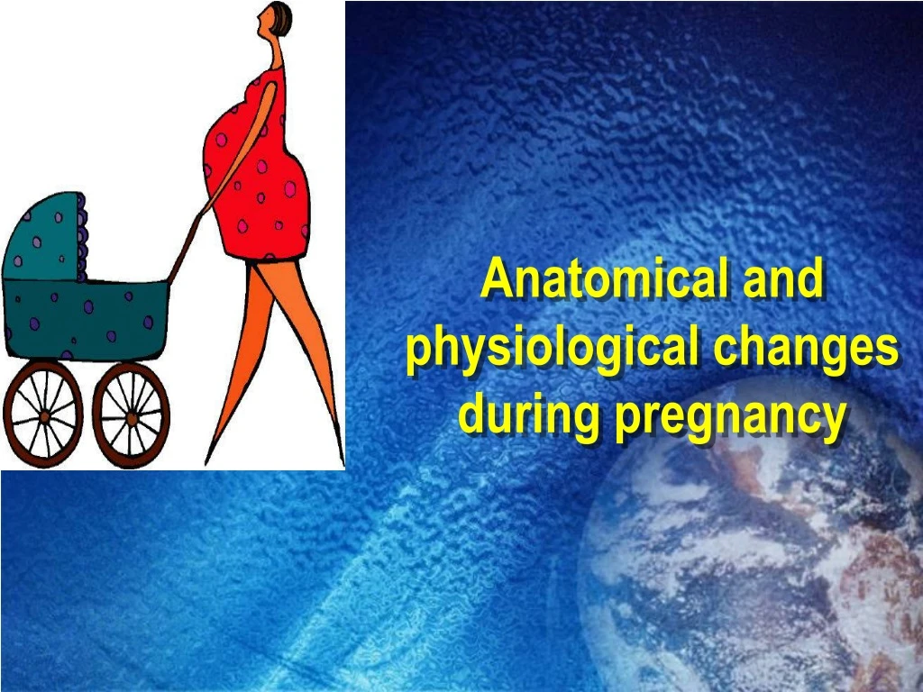 PPT - Anatomical and physiological changes during pregnancy PowerPoint ... PPT - Anatomical and physiological changes during pregnancy PowerPoint ...
