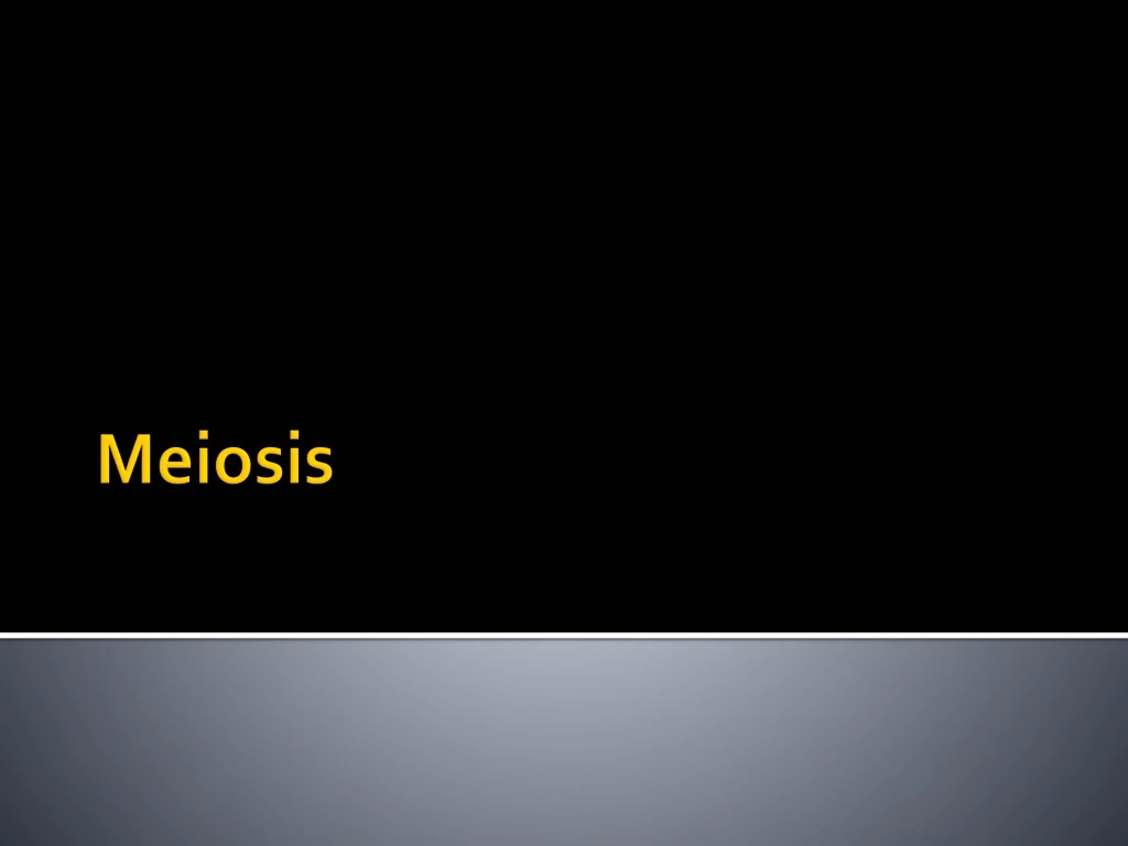 PPT - Meiosis PowerPoint Presentation, free download - ID:9144246